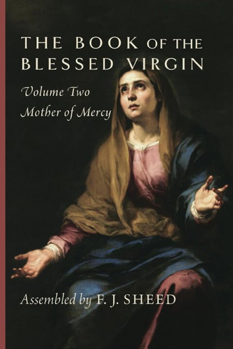 Mary, Mother of Mercy - Explore Her Role in Scripture